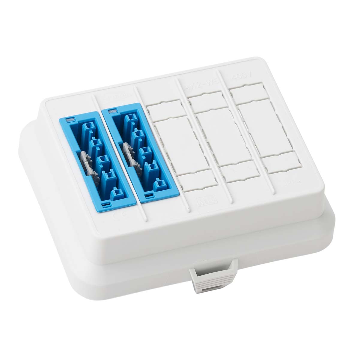 Wago - Rutab - The smarter way through